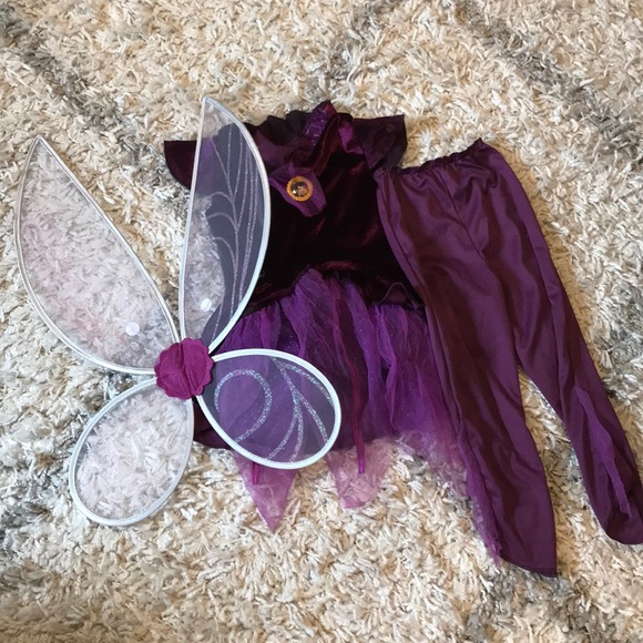 Vidia Fairy Costume